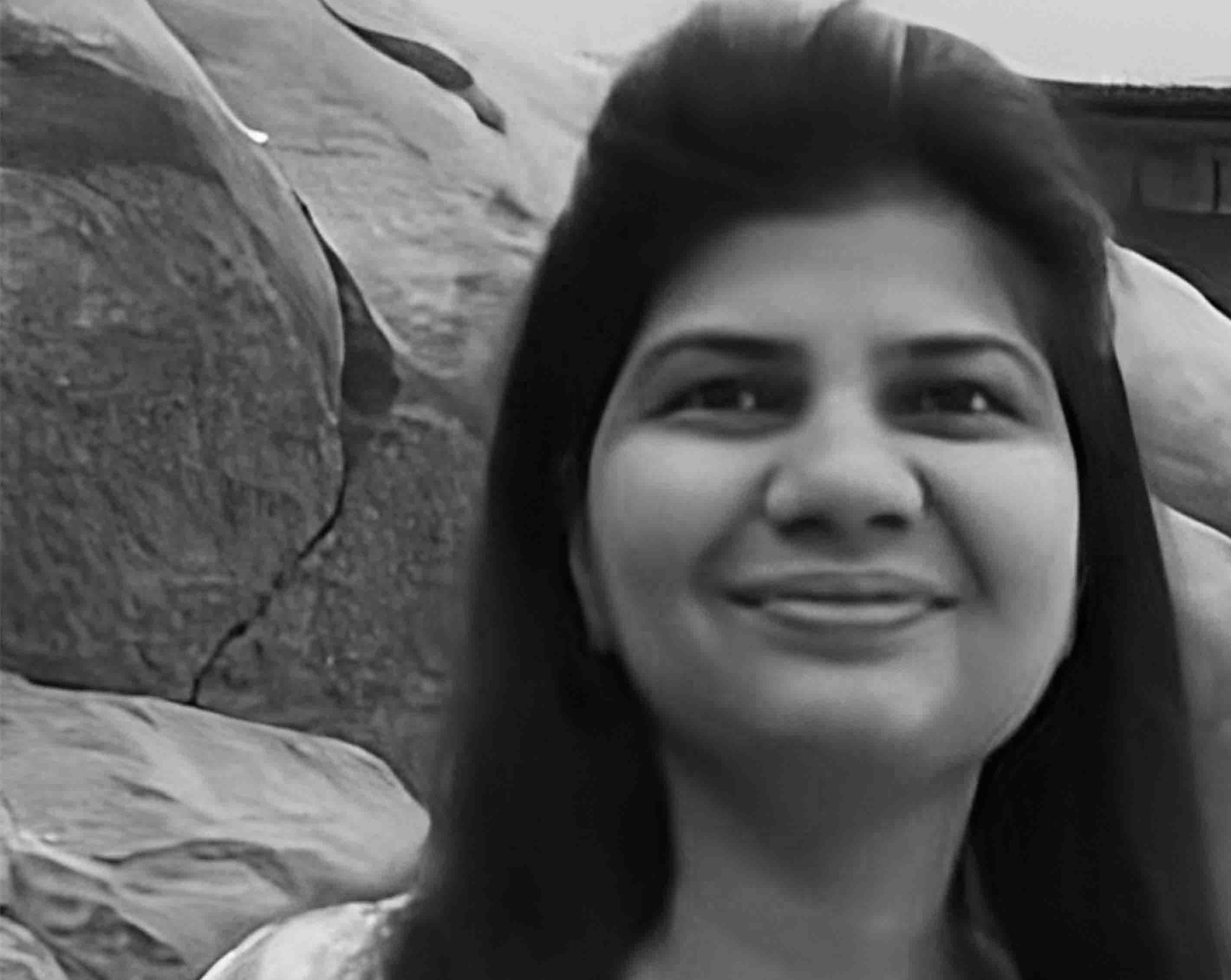 ViBram Silicon Hub, Govt. of India. R&D Center